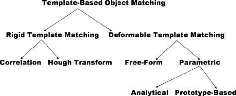 Figure 1 1 From Automatic Mass Segmentation In Mammographic Images Semantic Scholar