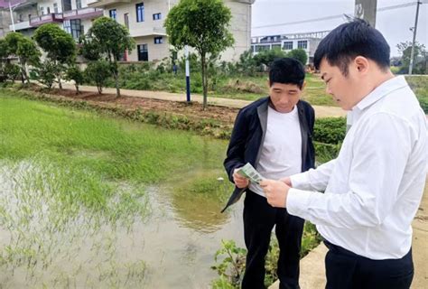 普惠“万”里行 金融“活水”润沃土 普惠金融助丰年