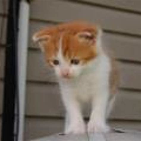 Stream Kenzie Bessler Music Listen To Songs Albums Playlists For Free On Soundcloud