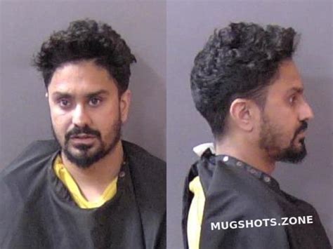 Binning Navjit Singh 02 02 2024 Hamilton County Mugshots Zone