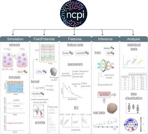 A Python Toolbox For Neural Circuit Parameter Inference Npj Systems