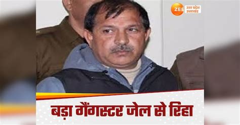 Gangster Sundar Bhati Gets Bail From High Court Life Imprisonment In Murder Case Sp Leader Up