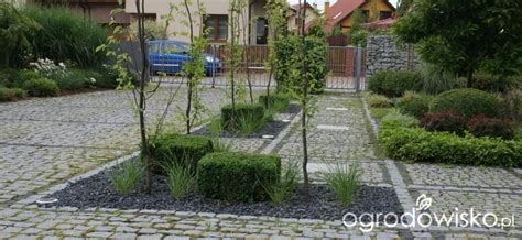 Madżenie ogrodnika cz aktualna strona 1608 Forum ogrodnicze Ogrodowisko