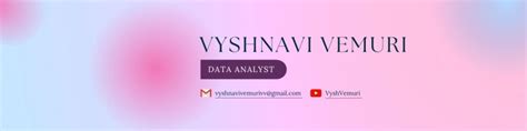 vyshnavi vemuri data scientist donorsearch linkedin