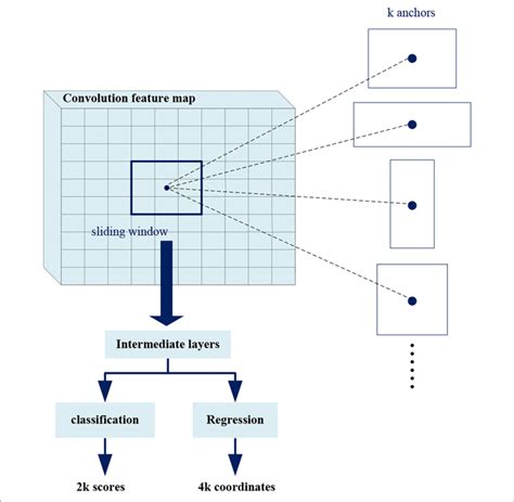 Region Proposal Network Rpn Download Scientific Diagram