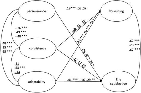 structural unconstrained model presenting the relationships among tmg