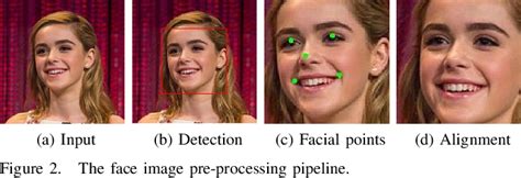 Figure 2 From Deep Label Distribution Learning With Label Ambiguity