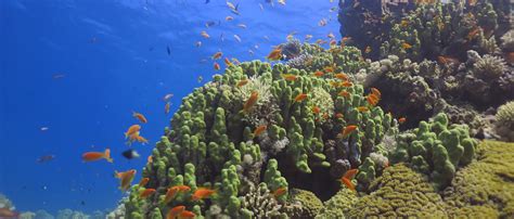 Itineraries Ocean Breeze