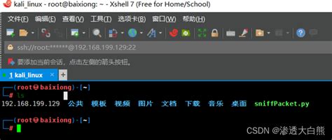 kali操作系统＋信息搜集工具 kali rlwrap csdn博客