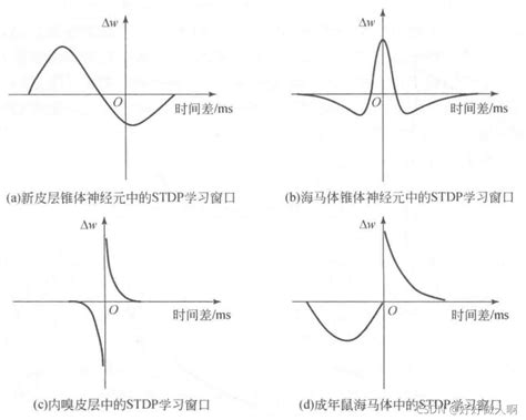 stdp学习机制（使用brian2仿真） csdn博客