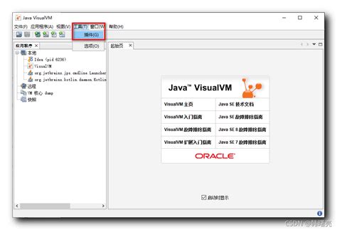 【java 虚拟机原理】垃圾回收算法 Java Visualvm 工具 安装 Visual Gc 插件 使用 Java