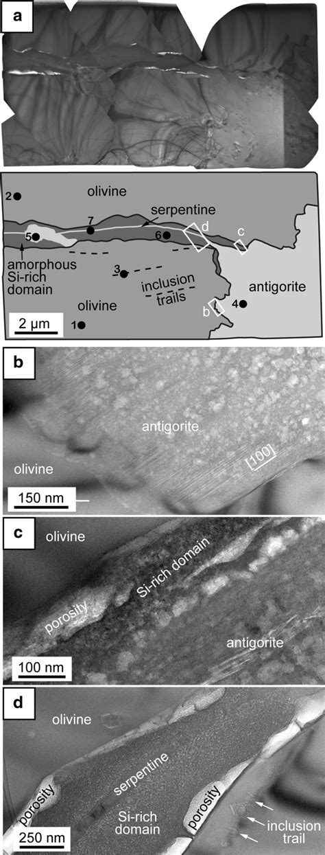A Mosaic Of TEM Photos Of The FIB Section Realized In Sample SMS 13 At Download Scientific