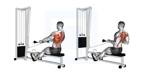 Inverted Row Guide Benefits And Form