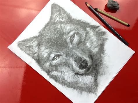 How To Draw A Realistic Wolf