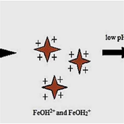 Adsorption Of Negatively Charged Colloidal Particles Onto Positively Download Scientific