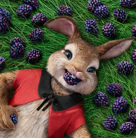 Создать мем кролик питер фотографии кролик питер кролик питер 2