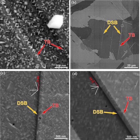 Precipitates And Dislocation Slip Bands Dsbs At Twin Boundaries A