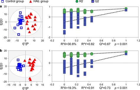 Opls Da Scores Plots Left Panel And Their Corresponding Validation
