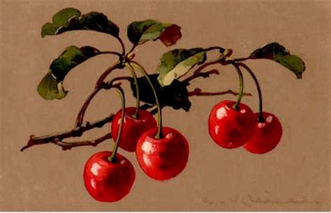 Российский Сервис Онлайн Дневников Иллюстрации фруктов Цветочные картины Ботанические рисунки