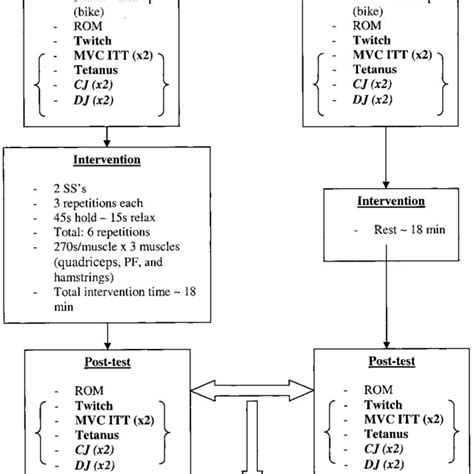 Methodological Overview A Schematic Representation Of The Methodology Download Scientific