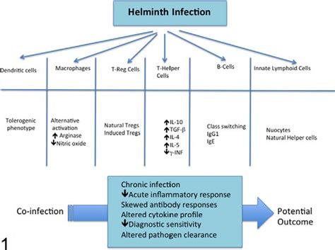Figure 1 From The Worm Turns Semantic Scholar