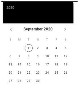 Vue Js Datepicker Working Of Datepicker In Vue Js With Examples