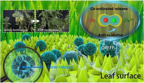 Oxidation Resistant Silicon Nanosystem For Intelligent Controlled Ferrous Foliar Delivery To