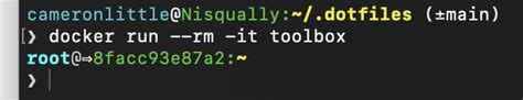 Personalized Container Debugging Cameron Littles Website