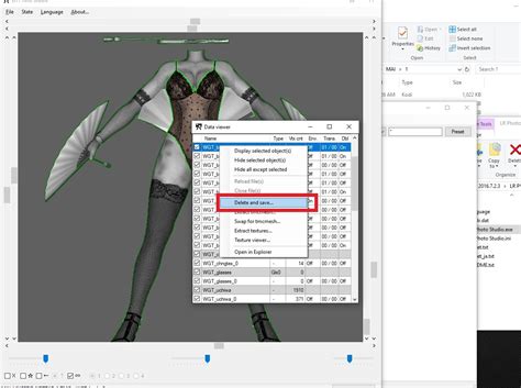 SOME TMC TMCL LINGERIE IS NOT WORKING BUT I CAN SEE IT IN CHARA SELECTOR WHEN I LOAD INTO
