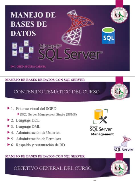 Manejo De Bases De Datos Con Sql Server Pdf Servidor Sql De