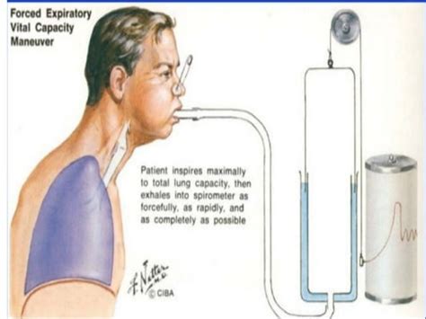 Pulmonary Function Testing PPT Lung And Respiratory Health Diseases And Conditions