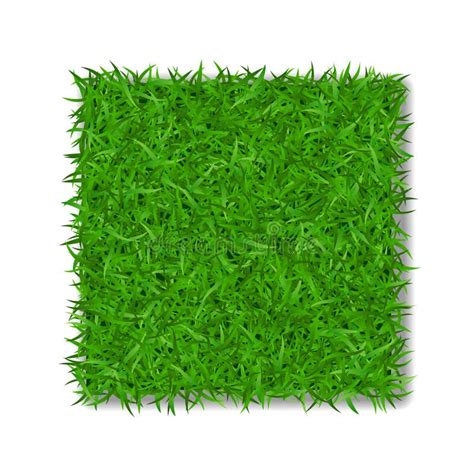 Grass Square 3d Beautiful Green Grassy Field Isolated On White