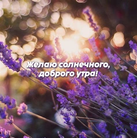 Картинки с надписью Желаю солнечного доброго утра
