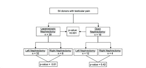 Incidence Of Testicular Pain Right Vs Left Nephrectomy And Open Vs