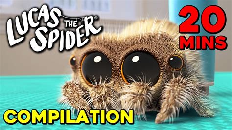 Another 20 Minute Compilation Of Lucas The Spider Episodes Youtube