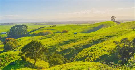 Likod Tagalog Word My Tagalog