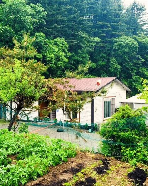 숲속 하얀산장 자연 속 힐링 가족 여행 추천 숙소 Carrentlease