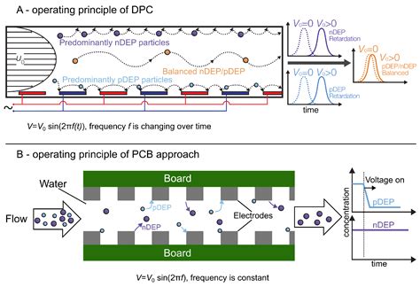 Dielectrophoretic Particle Chromatography From Batch Processing To Semi Continuous High