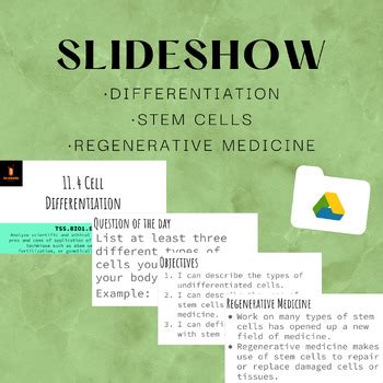 11 4 Cell Differentiation Slideshow TSS BIO1 ETS2 3 TPT