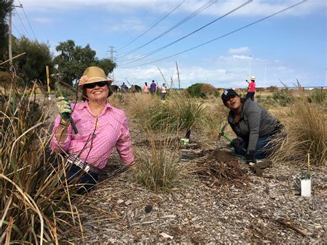 5 Reasons Why Planting Trees Matters Fifteen Trees