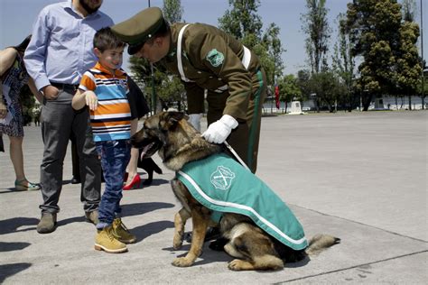 Premio Fundación Ciudad Del Niño Para Carabineros De Chile Año 2016