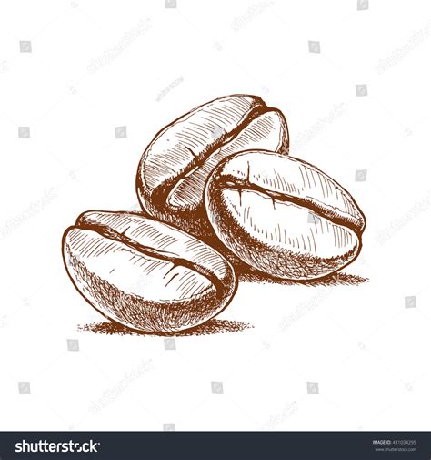 Coffee Bean Drawing