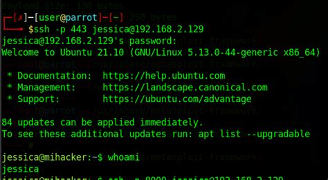 Linux权限维持 隐藏总结 echonly 博客园