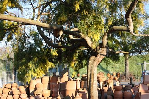 토스카나에서 도자기 토기 오렌지와 브라운 테라코타 화분의 야외 워크샵 갈색에 대한 스톡 사진 및 기타 이미지 갈색 골동품