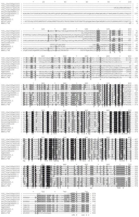 Rice Osppr035 Gene As Well As Encoded Protein And Application Thereof Eureka Patsnap