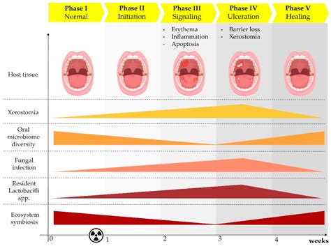 Mucositis
