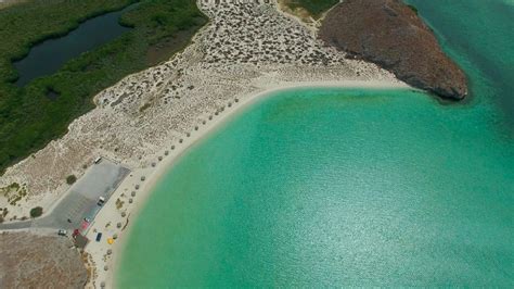 No Hay Afectaciones Por Derrame De Hidrocarburos En La Fauna Marina De
