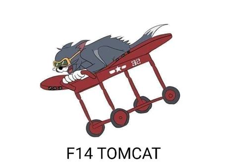 Is This The Famous Tomcat I Keep Hearing About Rnoncredibledefense