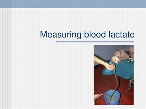 PPT Measuring Blood Lactate PowerPoint Presentation Free Download ID