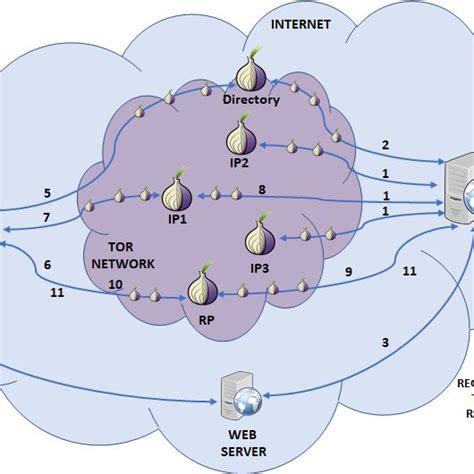 Tor Circuit Source 19 Download Scientific Diagram
